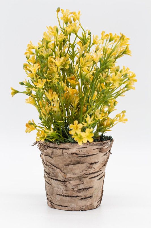 Maceta con flores silvestres amarillas CF1 Ohmyflor plantas con flor ...